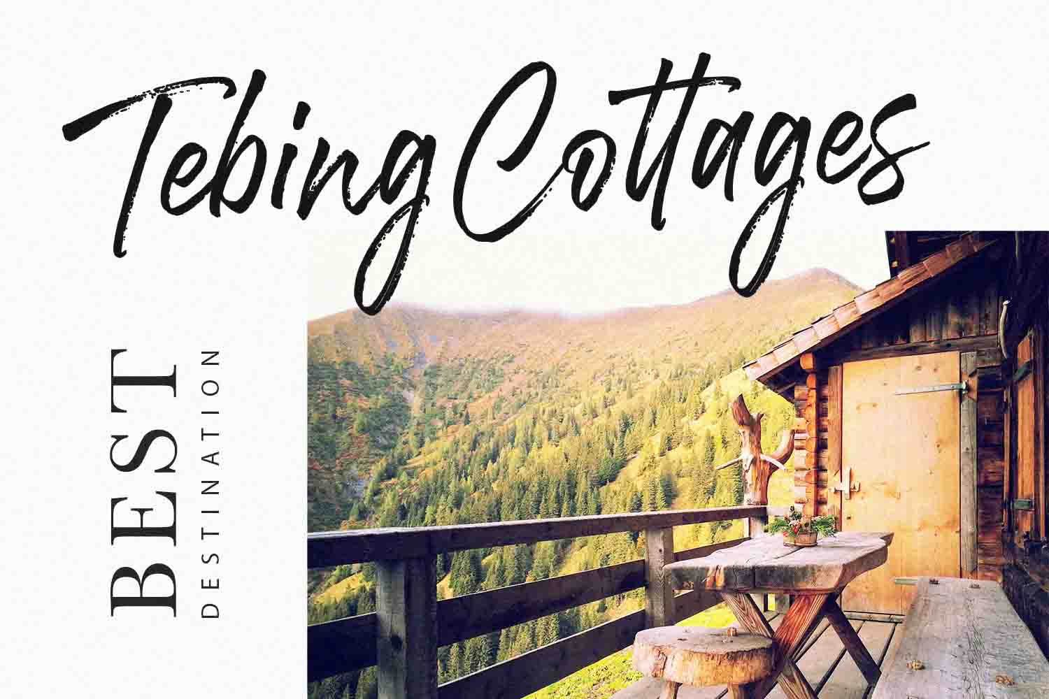 Long Path - Brush Script Font - Alpaprana Studio