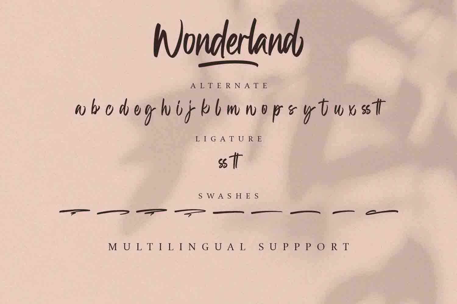 Wonderland - Handwritting Font - Alpaprana Studio