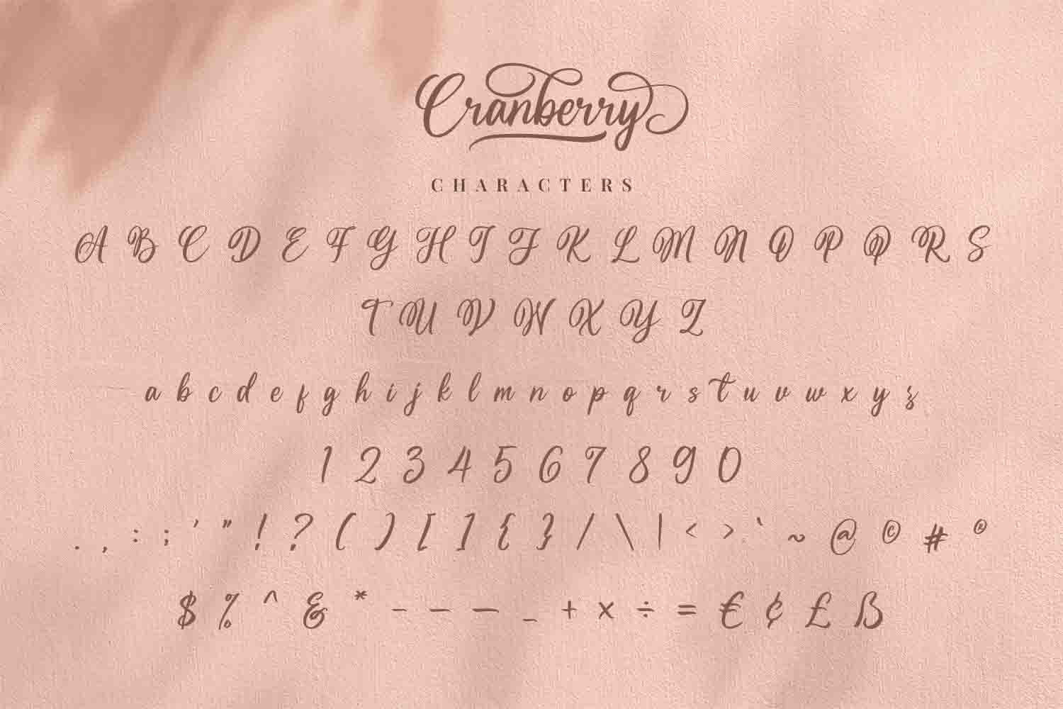 Cranberry - Modern Script Font - Alpaprana Studio