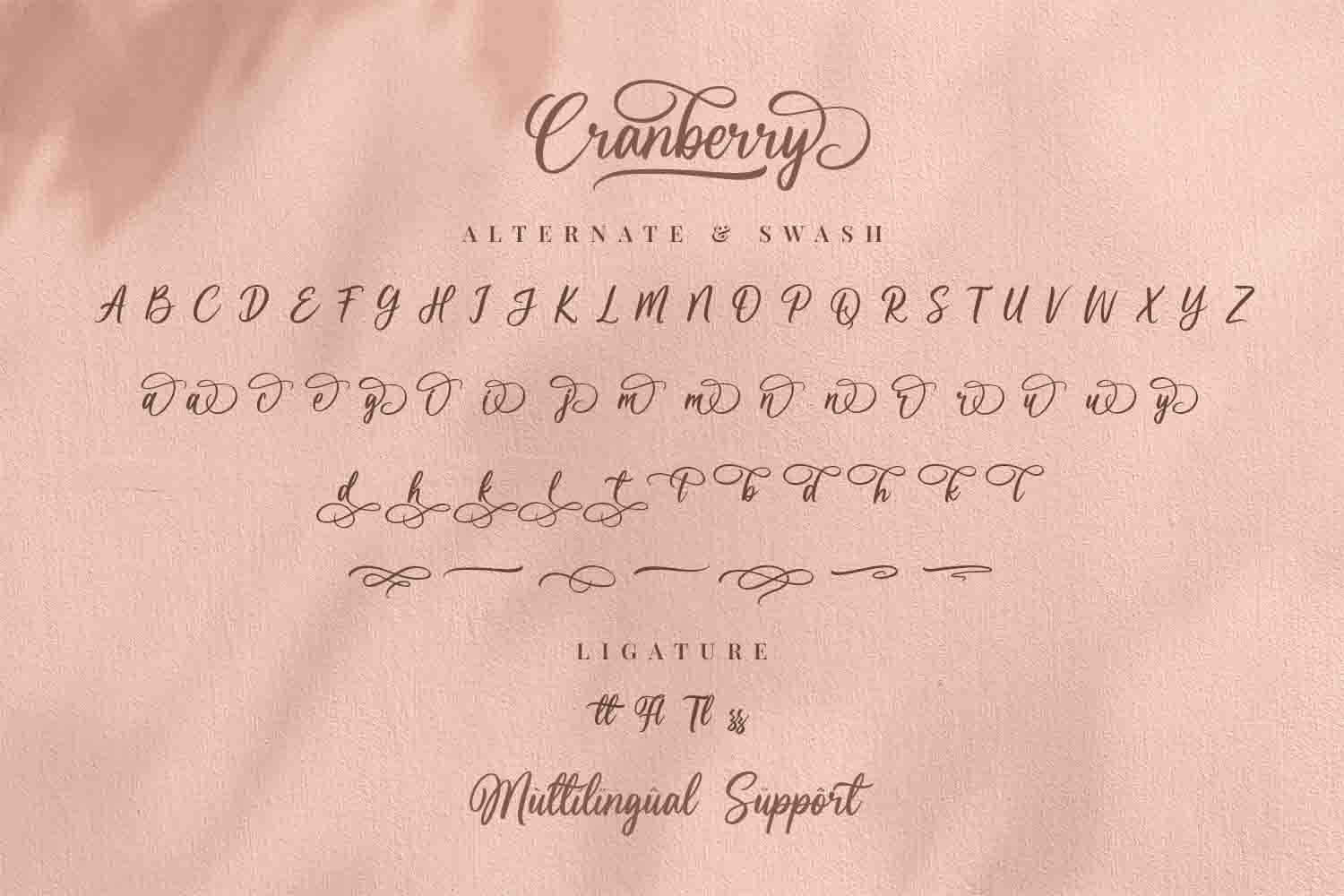 Cranberry - Modern Script Font - Alpaprana Studio