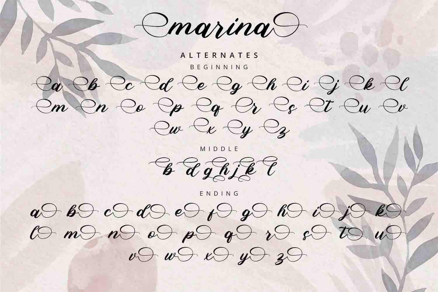 Marina - Modern Script Font - Alpaprana Studio