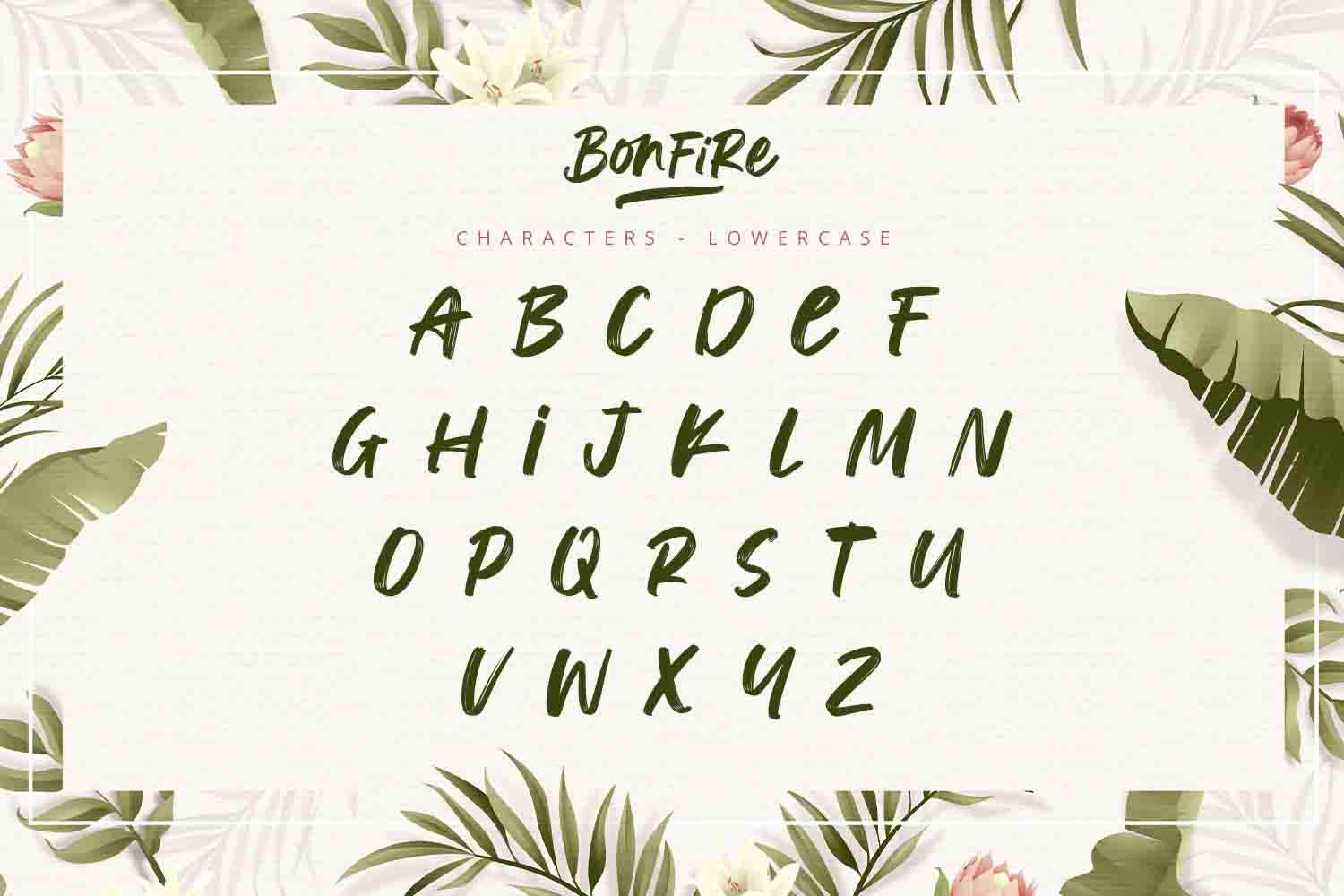 Bonfire - Modern Brush Font - Alpaprana Studio