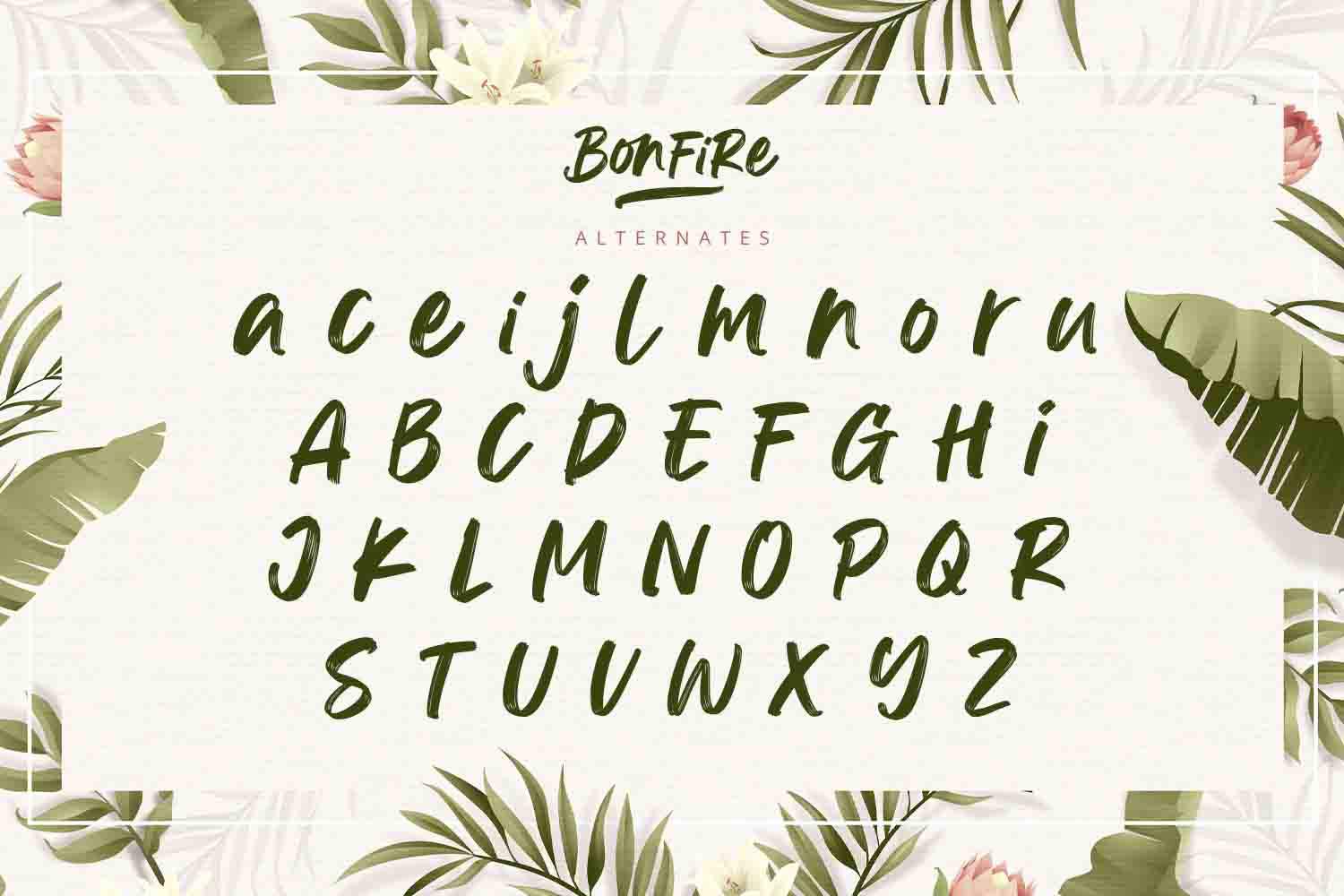 Bonfire - Modern Brush Font - Alpaprana Studio