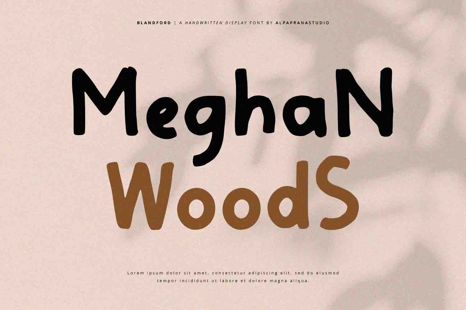 Blandford - Handwritten Font - Alpaprana Studio