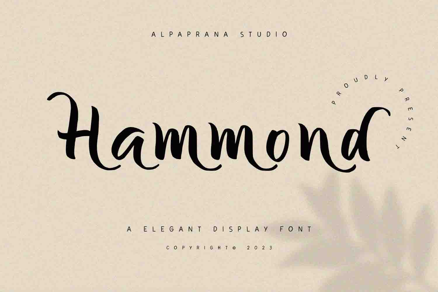 Hammond - Elegant Display Font - Alpaprana Studio