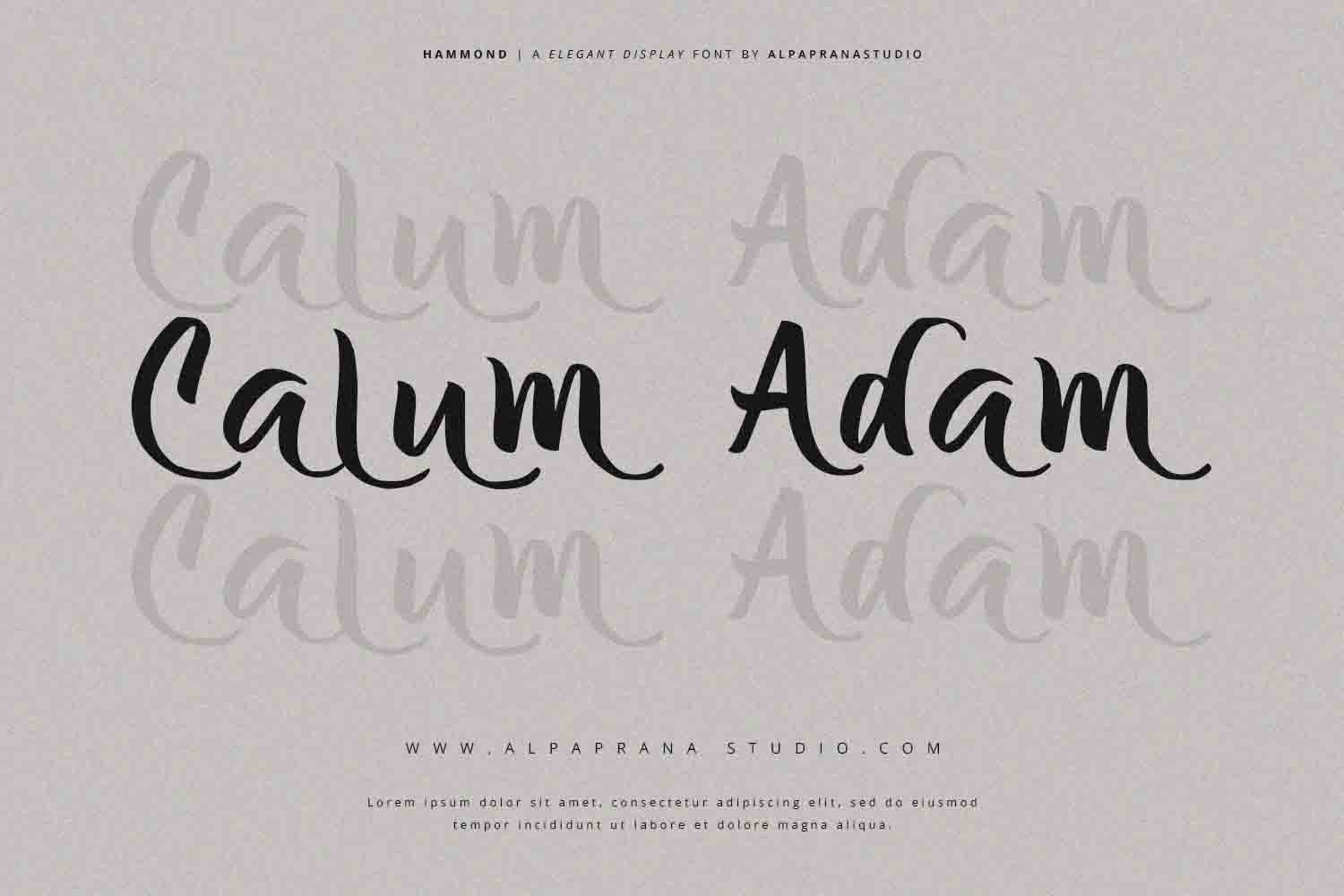 Hammond - Elegant Display Font - Alpaprana Studio
