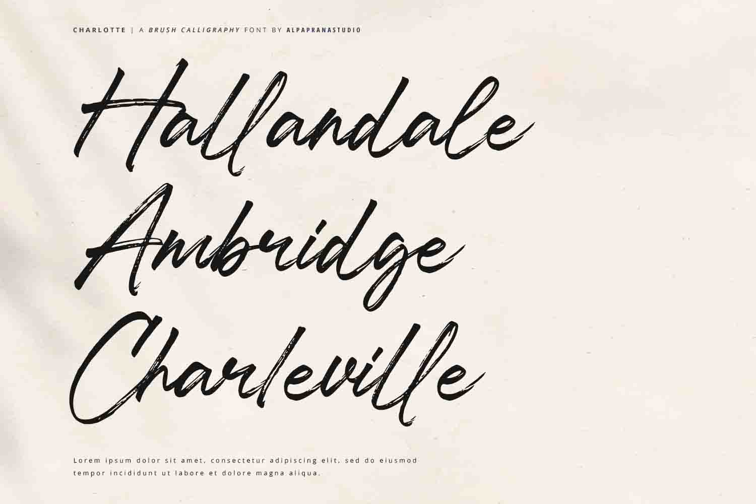Charlotte - Brush Calligraphy Font - Alpaprana Studio