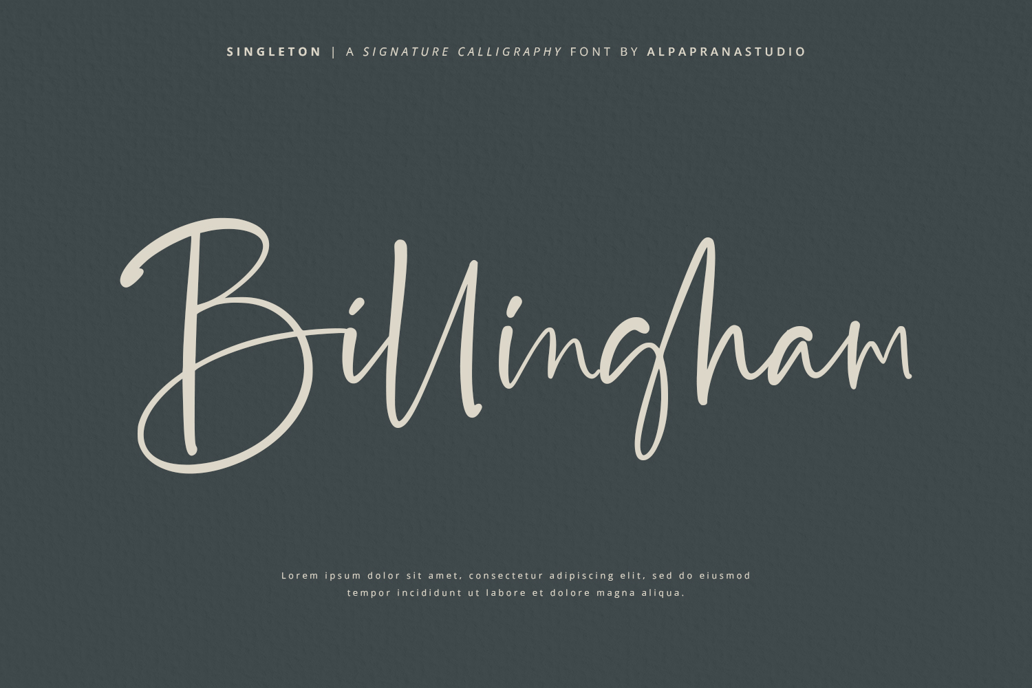 Singleton - Signature Font - Alpaprana Studio