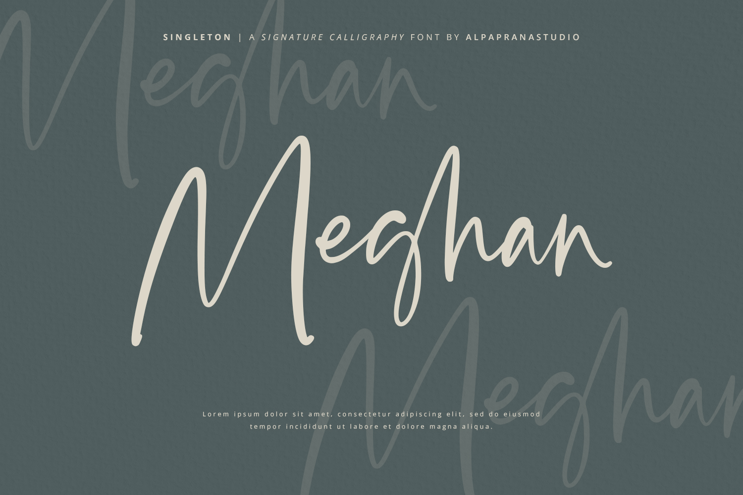 Singleton - Signature Font - Alpaprana Studio