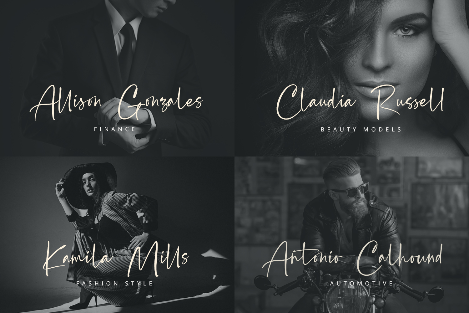 Singleton - Signature Font - Alpaprana Studio