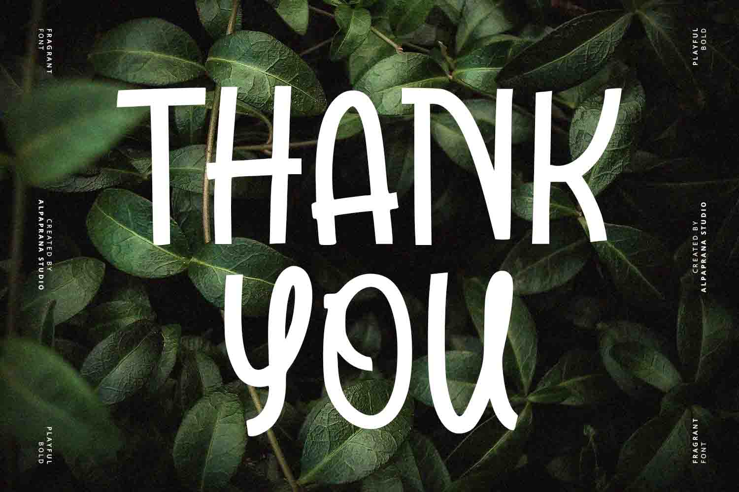 Prolific - Playful Font - Alpaprana Studio