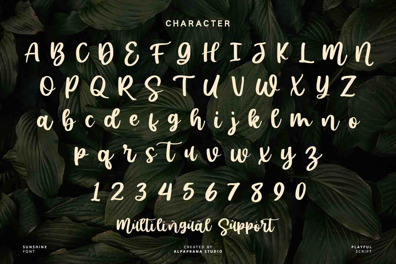 Sunshine - Script Font - Alpaprana Studio