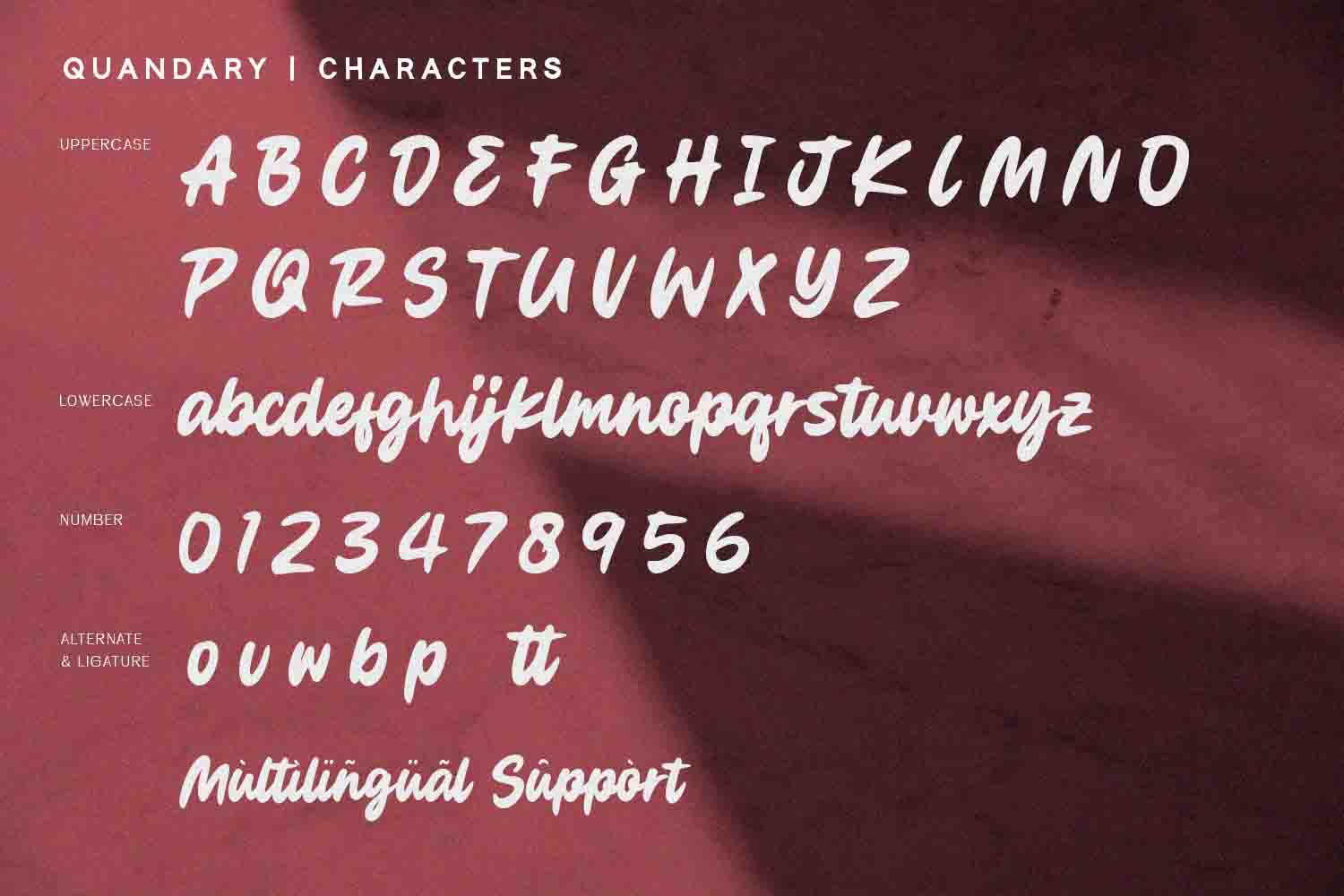 Quandary - Bold Script - Alpaprana Studio