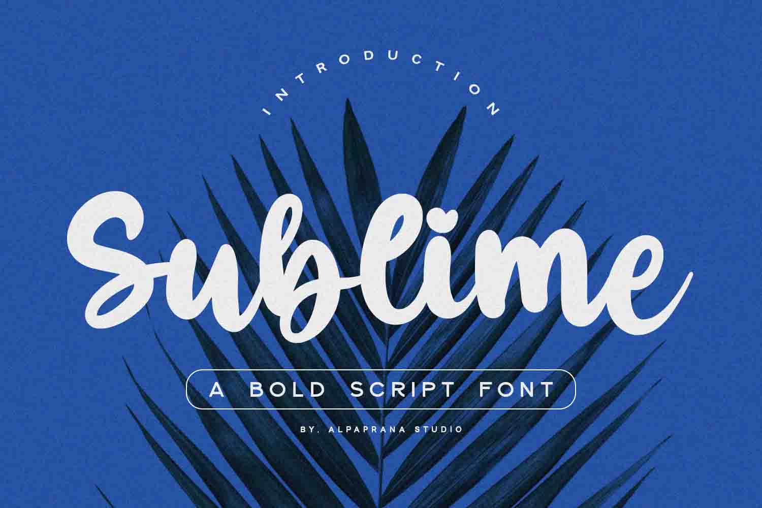 Sublime - Bold Script - Alpaprana Studio
