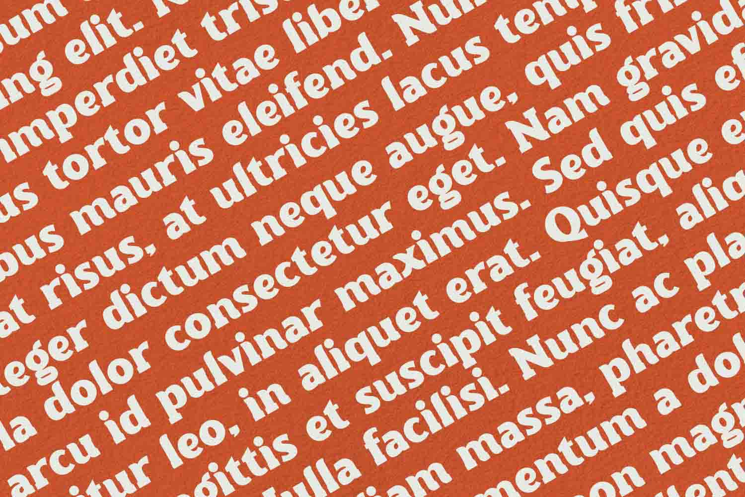 Torque - Serif Font - Alpaprana Studio