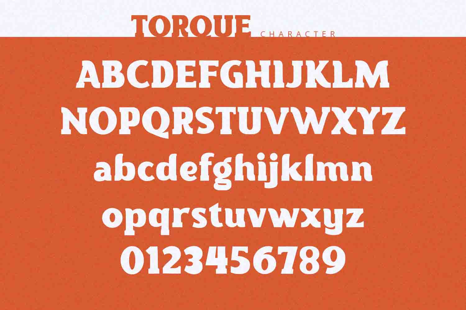 Torque - Serif Font - Alpaprana Studio