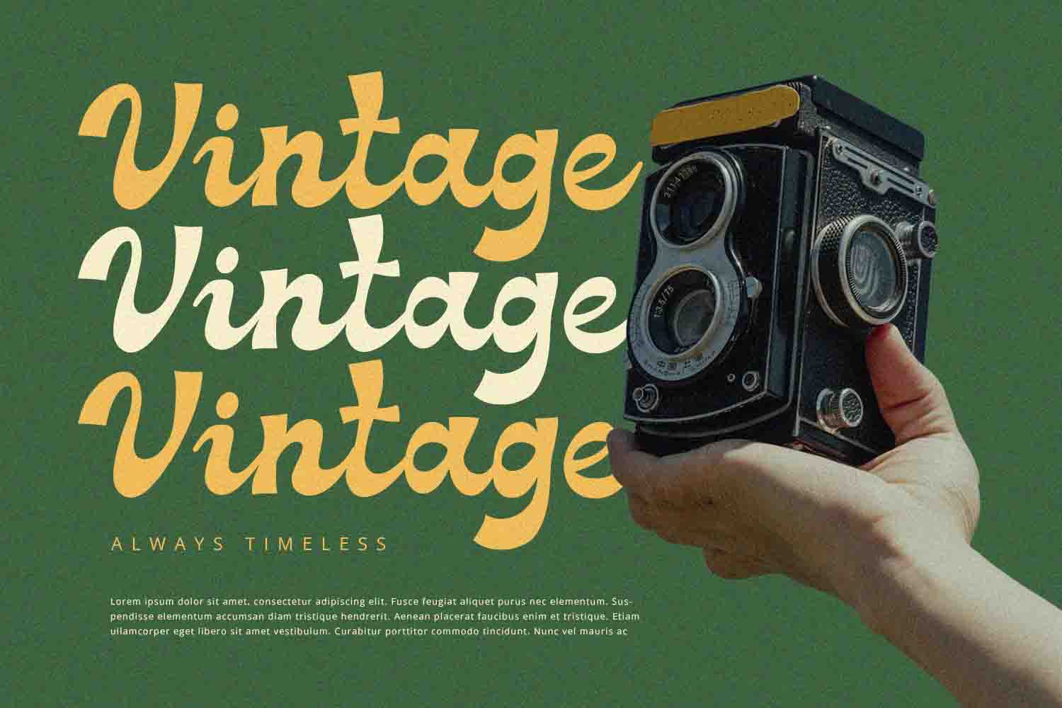 Meadow - Groove Script Font - Alpaprana Studio